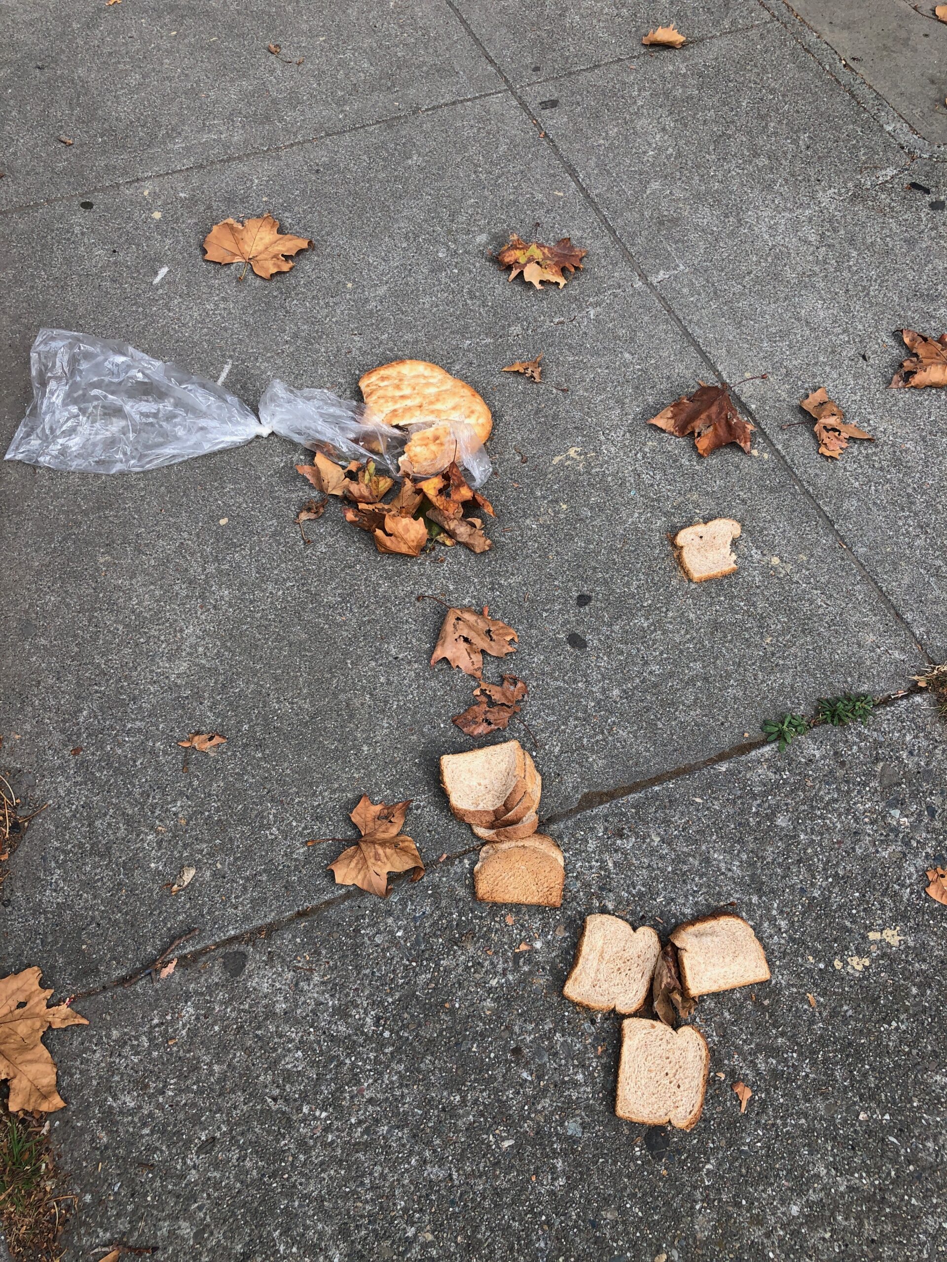 ‘You Are What You Eat’ by Laura Garfinkel – FERAL: A Journal of Poetry ...